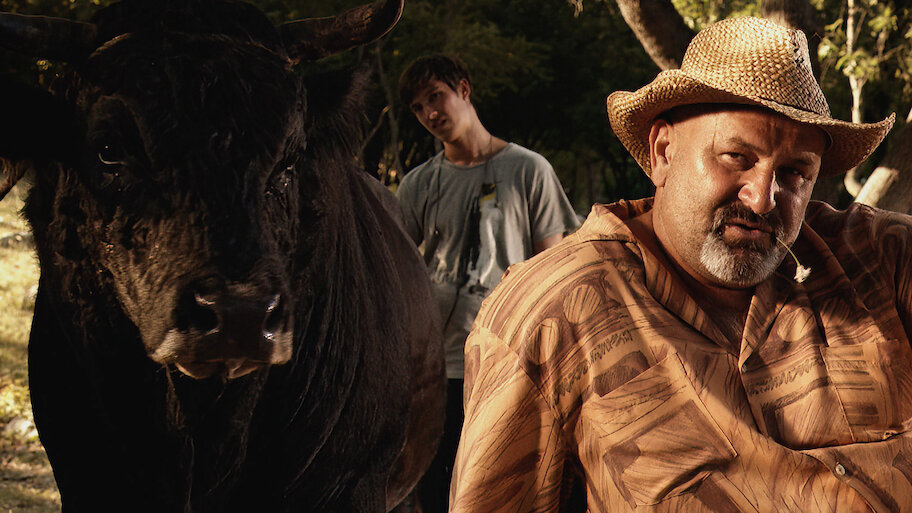 Watch Sonja and The Bull | Netflix