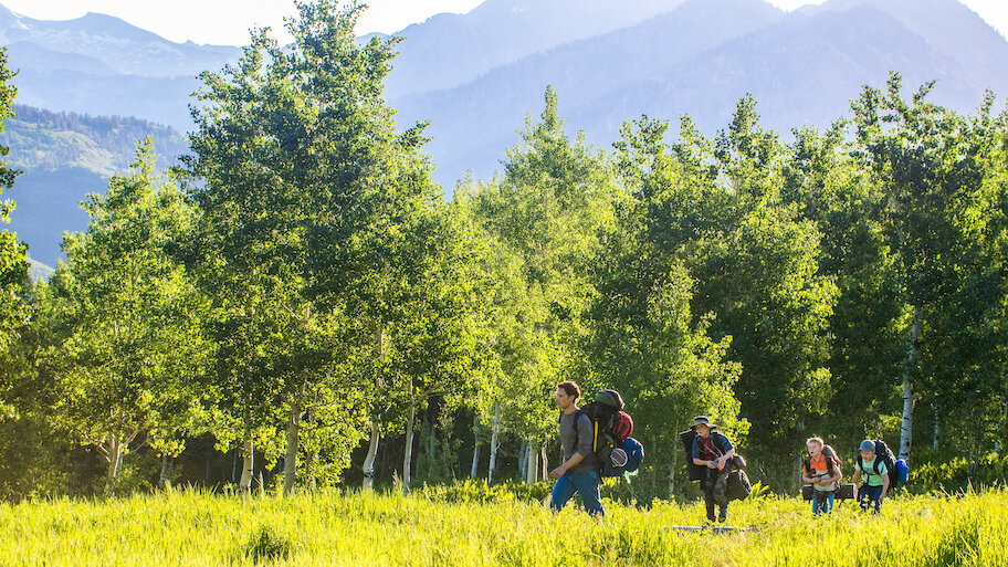 Watch The Stray | Netflix