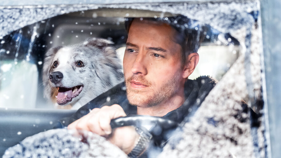 Watch The Noel Diary | Netflix Official Site