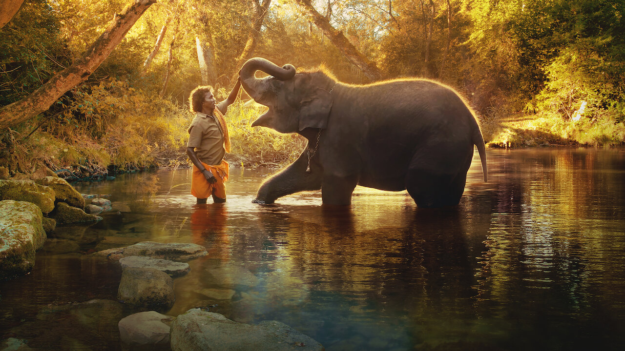 Watch The Elephant Whisperers | Netflix Official Site Watch The Elephant Whisperers | Netflix Official Site