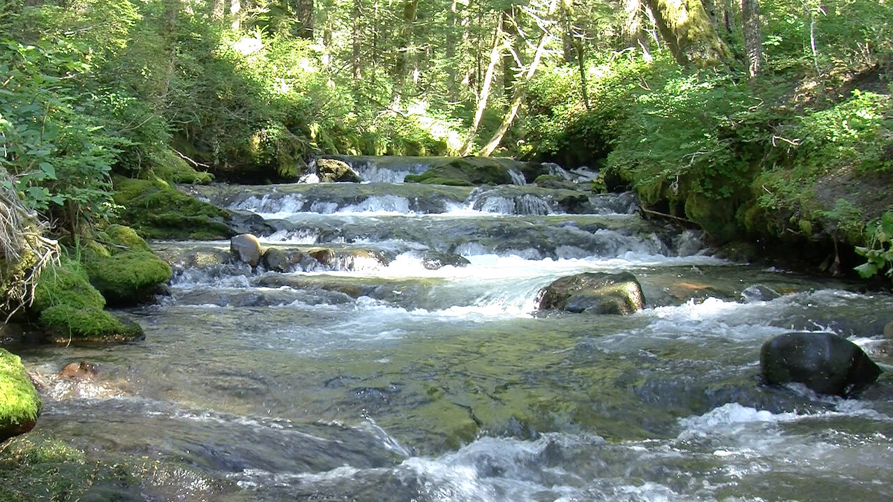 Watch Fireplace For Your Home: Cascade Mountain Stream | Netflix