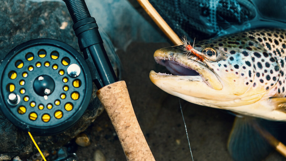 Watch Lindners Fishing Edge | Netflix