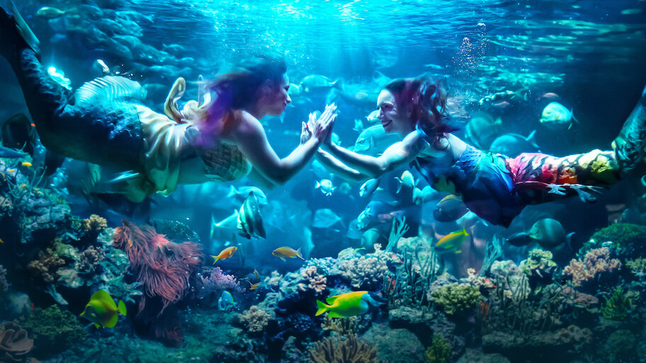 Watch MerPeople | Netflix Official Site