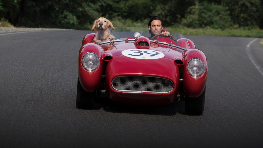 The Art of Racing in the Rain | Netflix