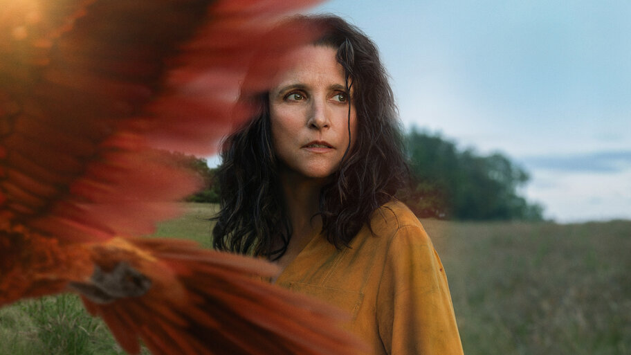 Watch Tuesday | Netflix