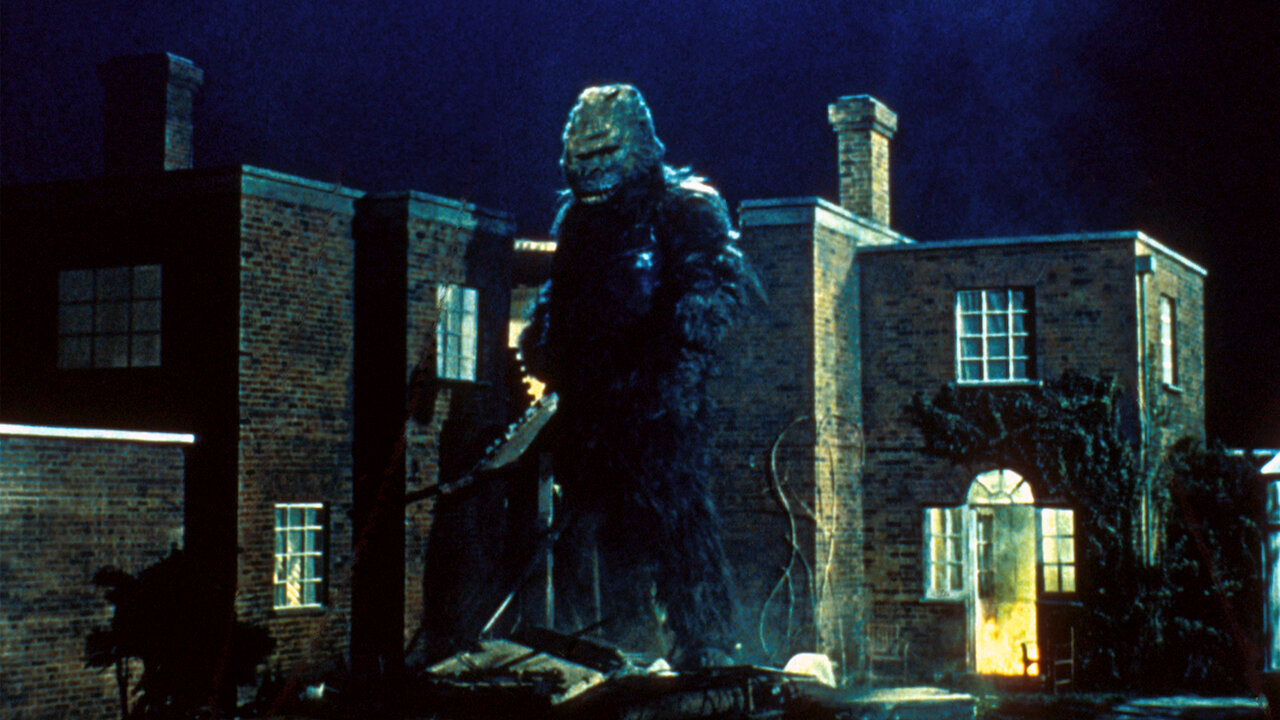 Watch Konga | Netflix