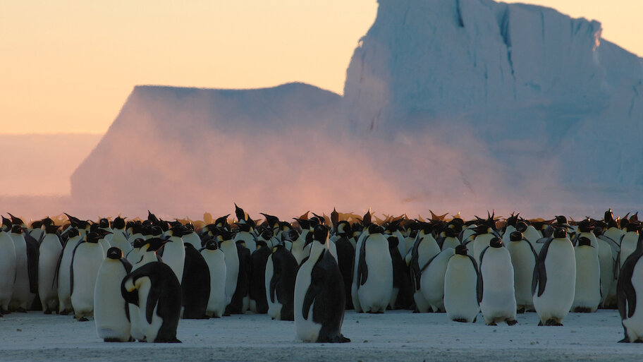 Planet Earth | Netflix