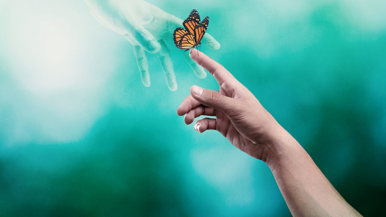 Sobrevivir a la muerte | Sitio oficial de Netflix