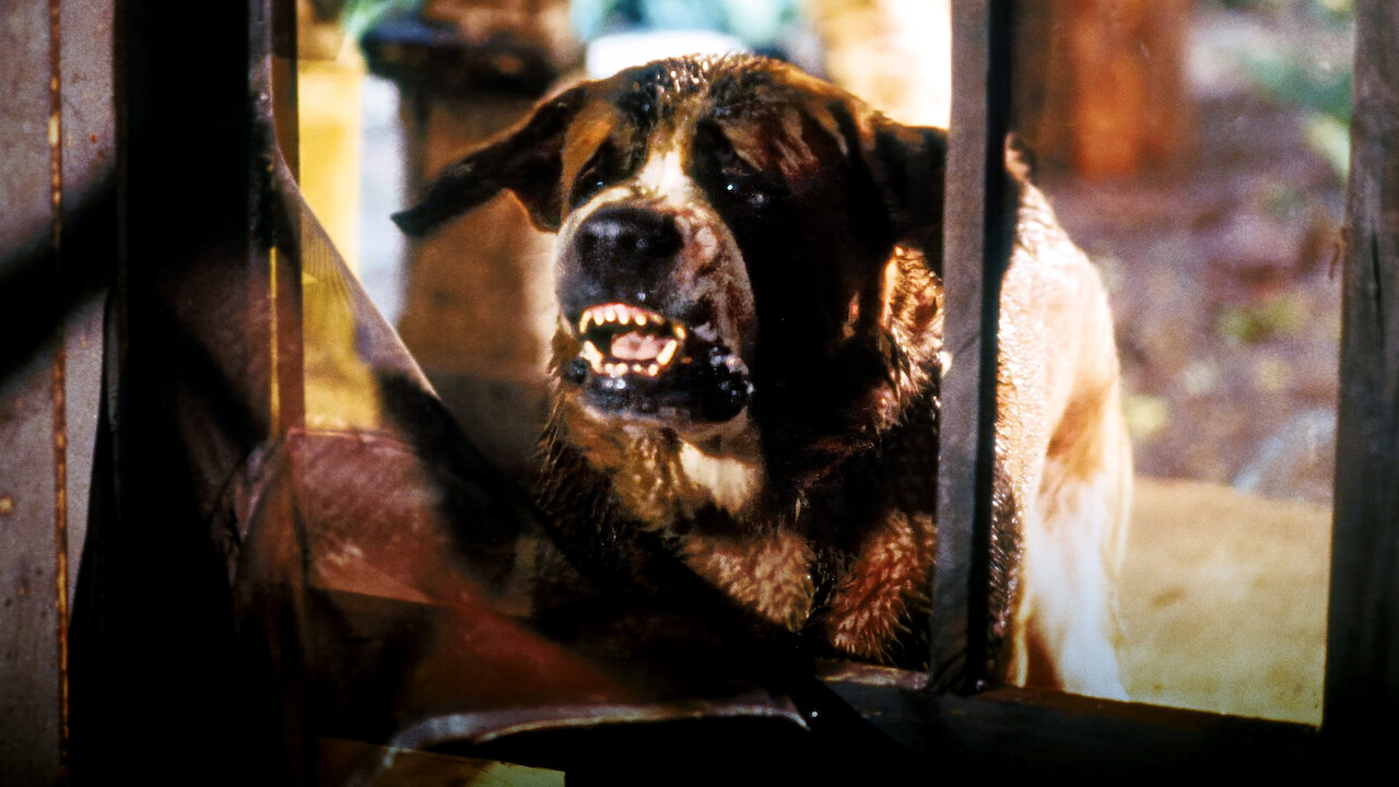 Cujo | Netflix