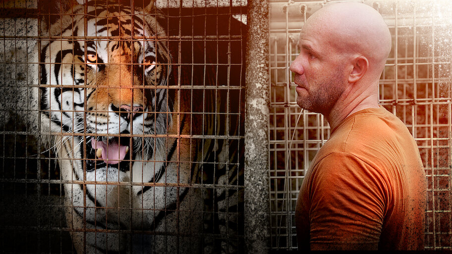Watch Wild Animal Repo | Netflix