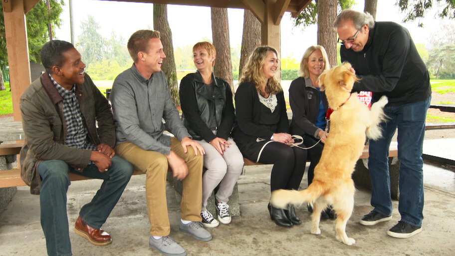 Watch Save Our Shelter | Netflix