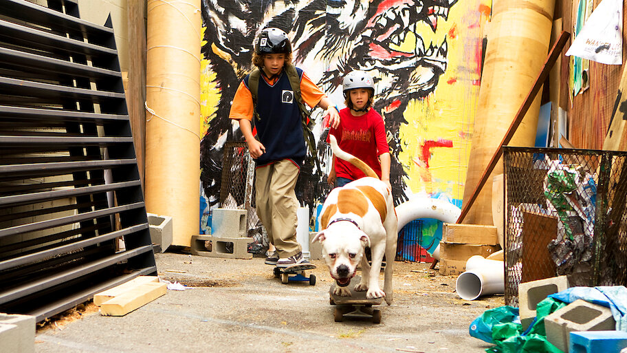 Watch Nic and Tristan Go Mega Dega | Netflix