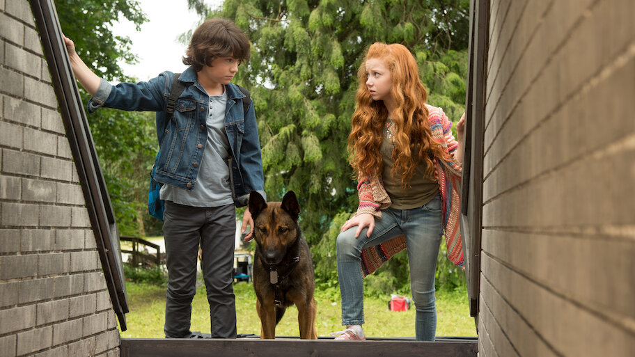 Watch Max 2: White House Hero | Netflix