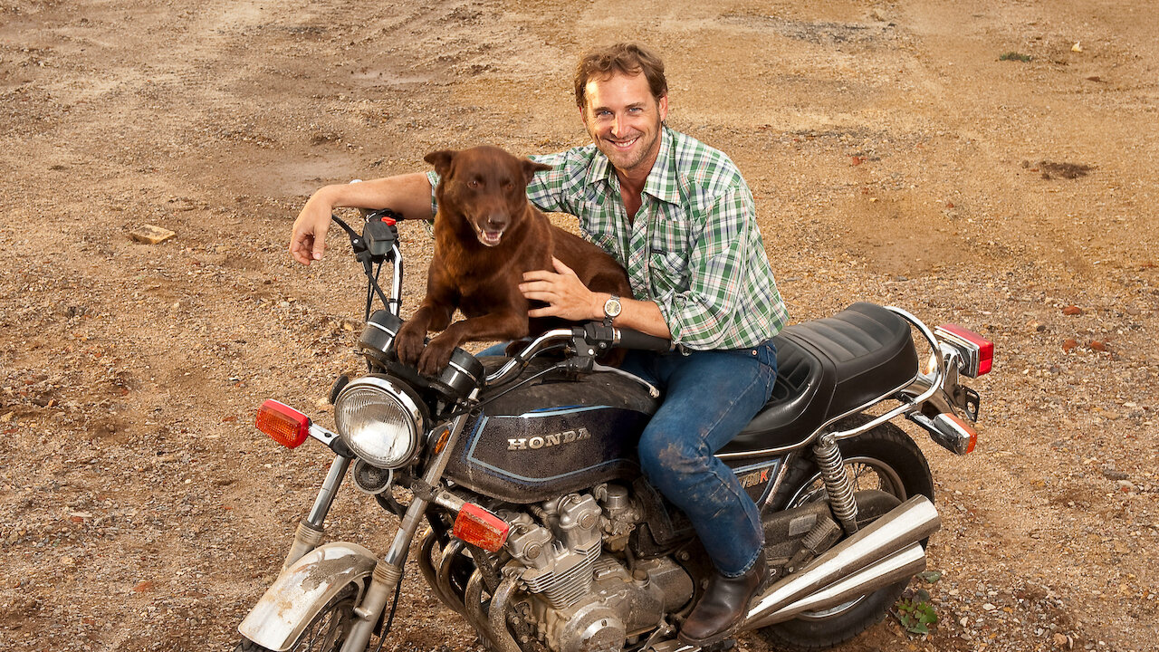 Watch Red Dog | Netflix