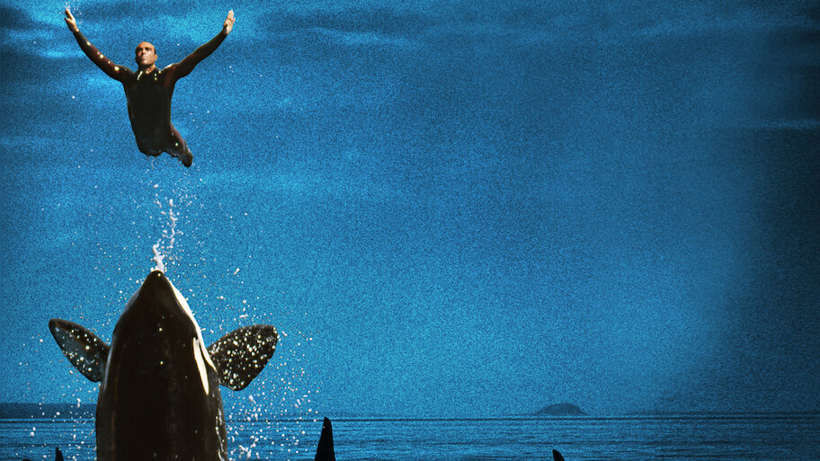 Blackfish | Netflix