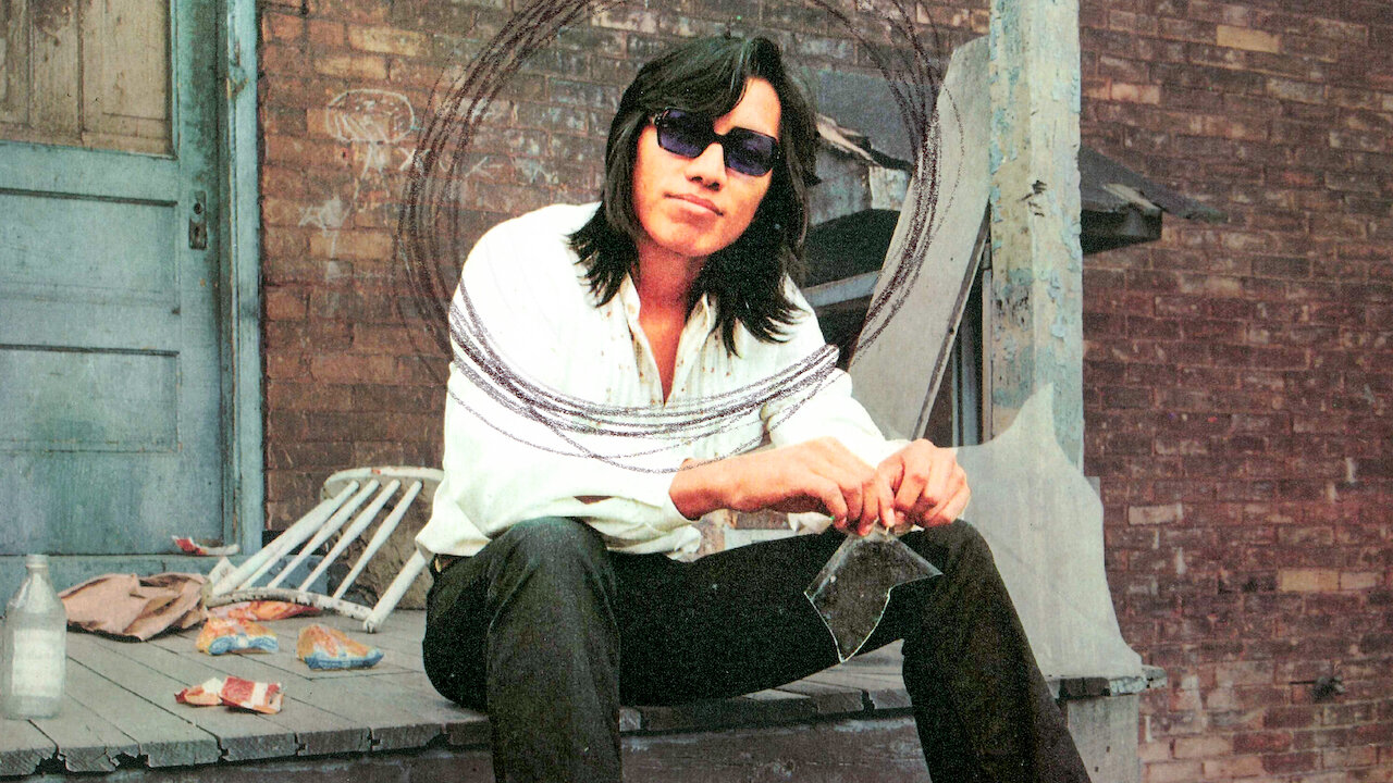 Watch Searching for Sugar Man | Netflix