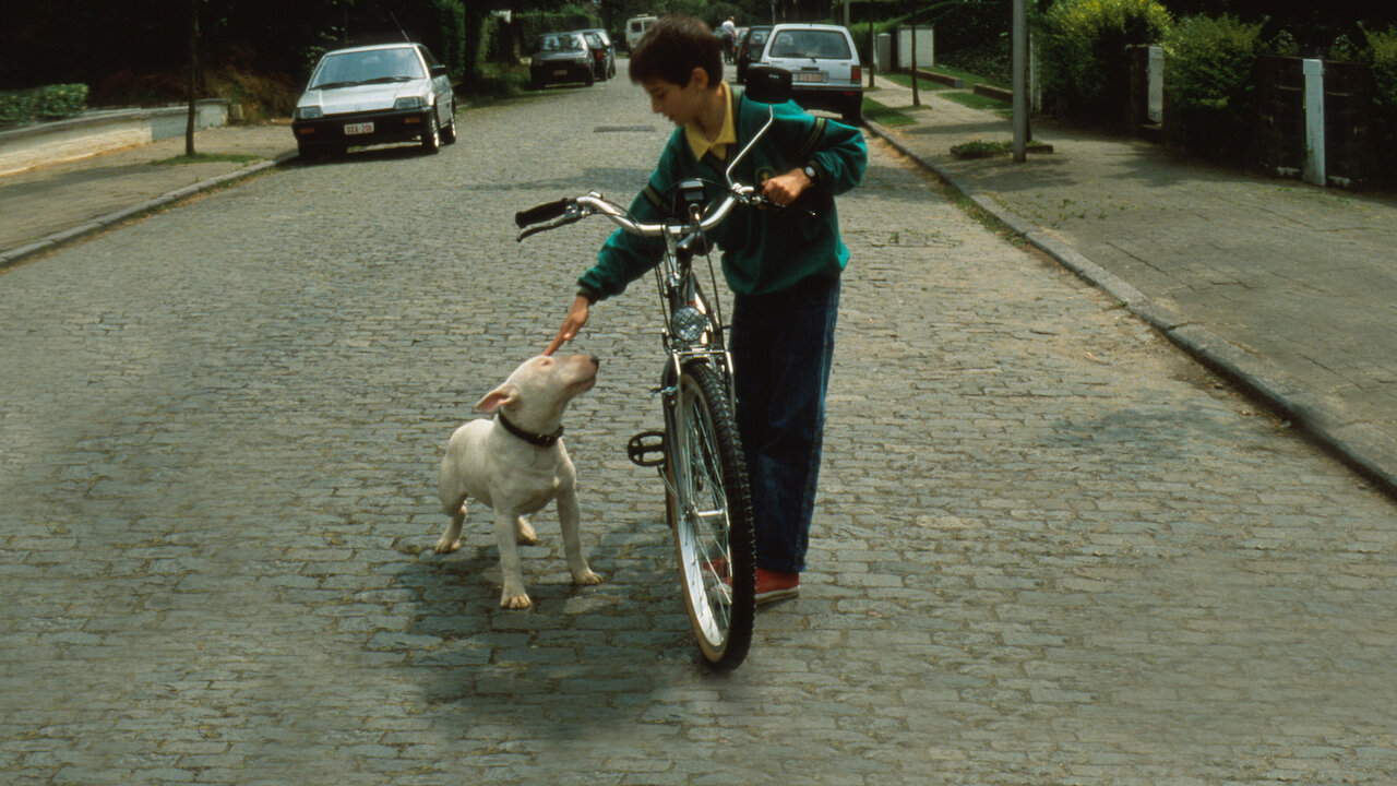 Watch Baxter | Netflix