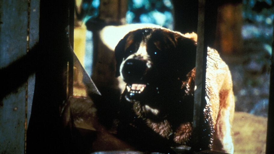 Cujo | Netflix