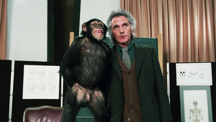 Watch Link | Netflix