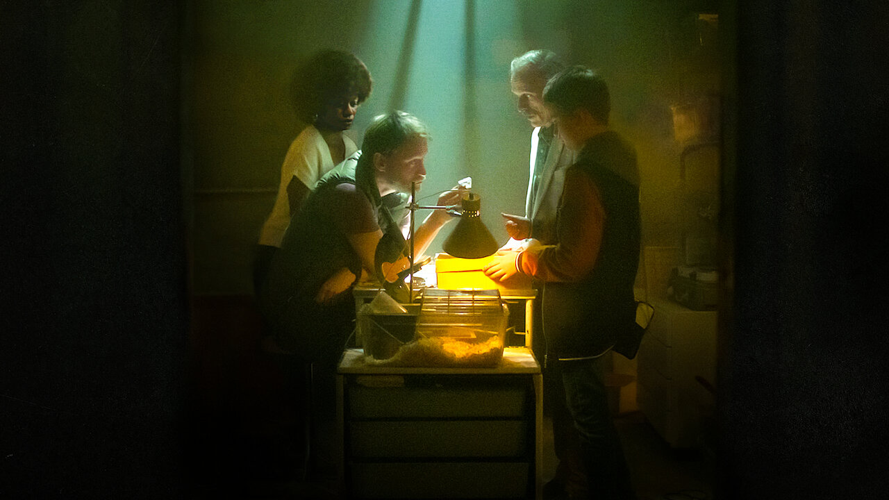 Watch Into the Night | Netflix Official Site