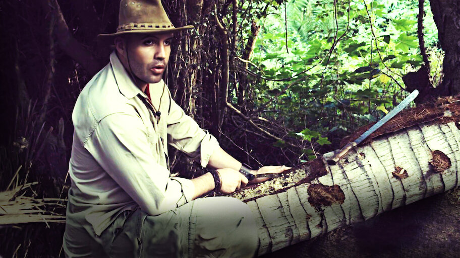 Watch Surviving Evil | Netflix