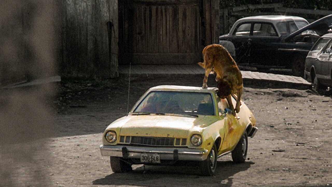 Watch Cujo | Netflix