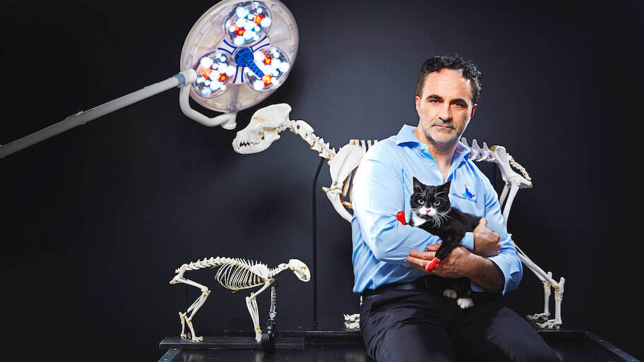 Watch The Supervet: Bionic Specials | Netflix