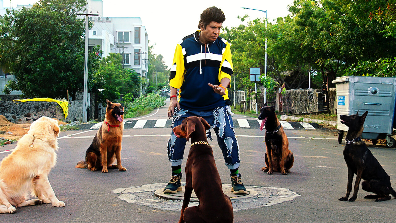 Watch Naai Sekar Returns | Netflix