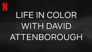 Science & Nature Docs | Netflix Official Site