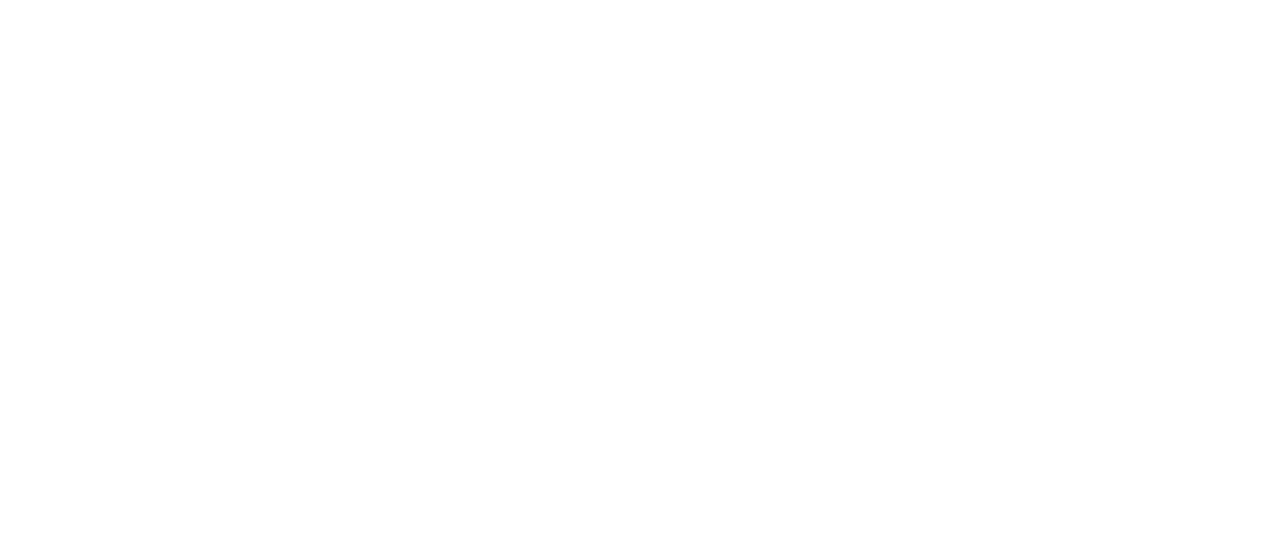 ביקור התזמורת Netflix