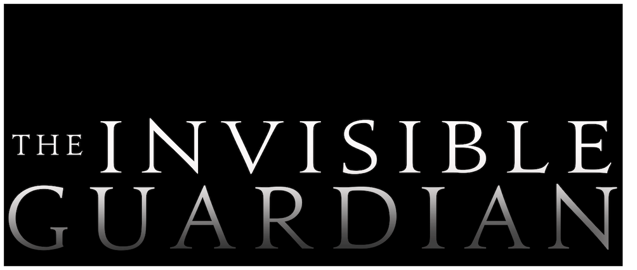 The Invisible Guardian | Netflix