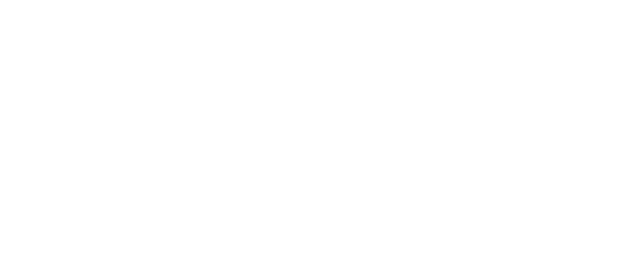 Snowroller | Netflix