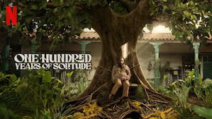 TV Shows Based on Books | Netflix Official Site