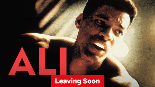 Watch Race | Netflix