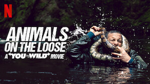 Reality TV Shows | Netflix Official Site