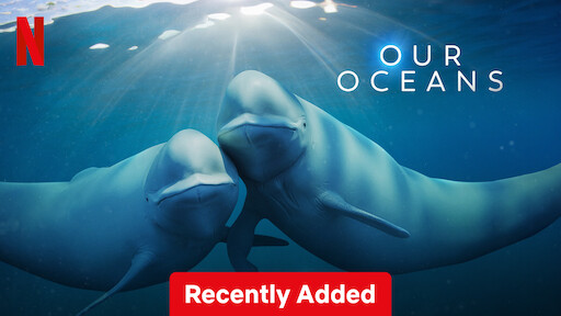 Watch Buy Now: The Shopping Conspiracy | Netflix Official Site