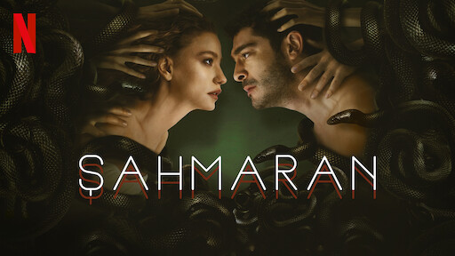 Watch Intersection | Netflix