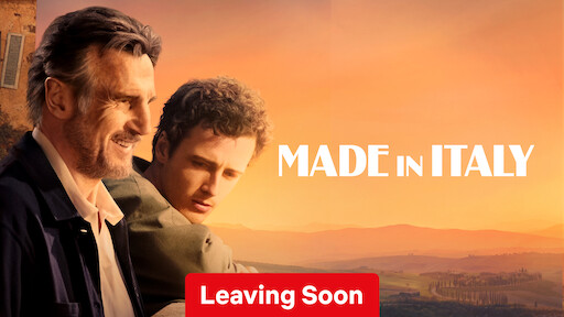 Watch Find Me Falling | Netflix Official Site