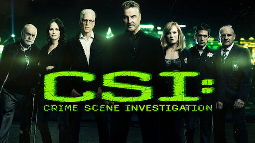 Watch Lei e ordem: Special Victims Unit | Netflix