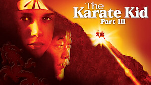 Martial Arts Movies | Netflix Official Site