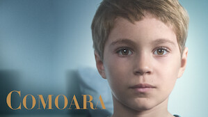 Romanian Movies & TV | Netflix Official Site