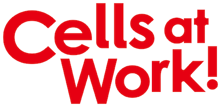 Watch Cells At Work! | Netflix