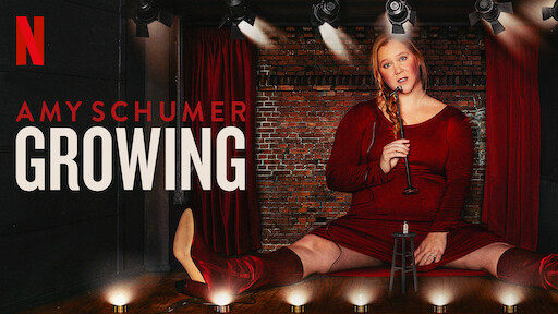 Watch Amy Schumer: The Leather Special | Netflix Official Site