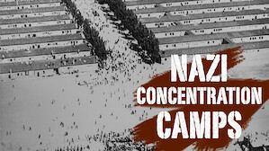 Historical Documentaries | Netflix Official Site