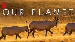 TV Shows | Netflix Official Site