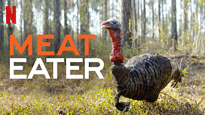 TV Shows | Netflix Official Site