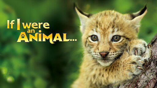 Watch Deepa & Anoop | Netflix Official Site