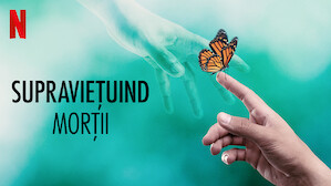 Cele mai bune documentare | Site oficial Netflix