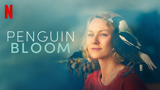 Watch Walk. Ride. Rodeo. | Netflix Official Site