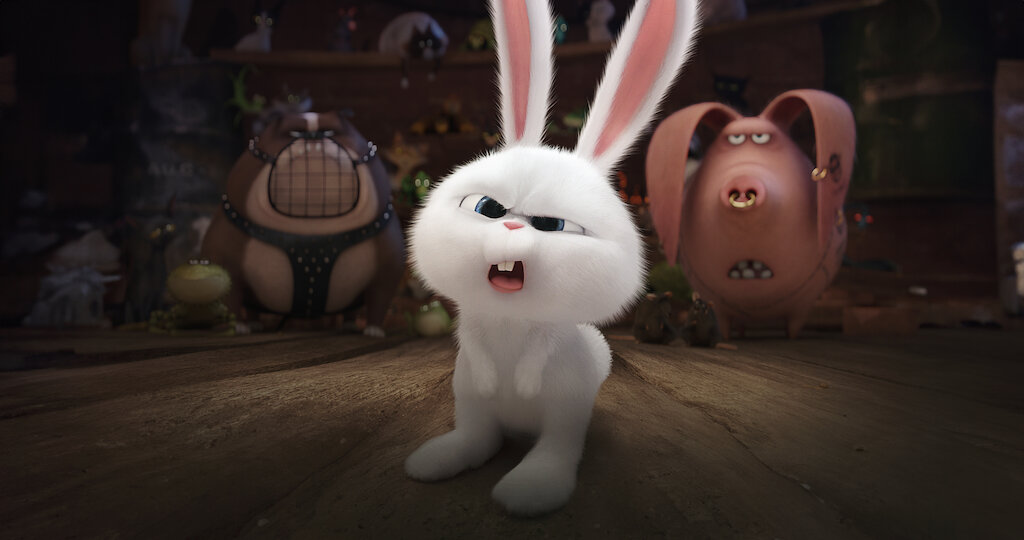 Watch The Secret Life of Pets | Netflix